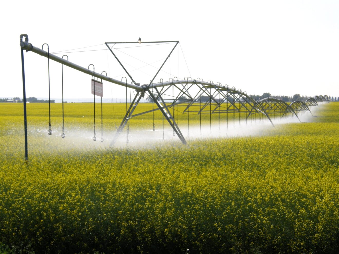 Economic Value of Alberta’s Irrigation Districts – Alberta Irrigation ...